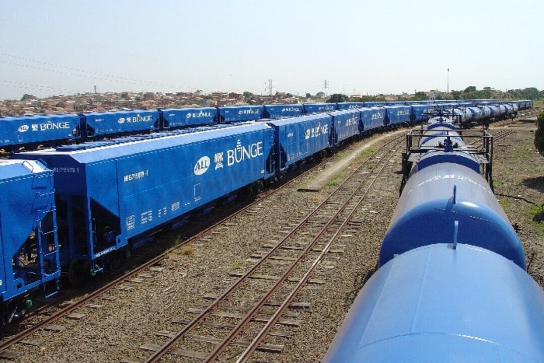 Confira as principais ferrovias do Brasil para o transporte de cargas!